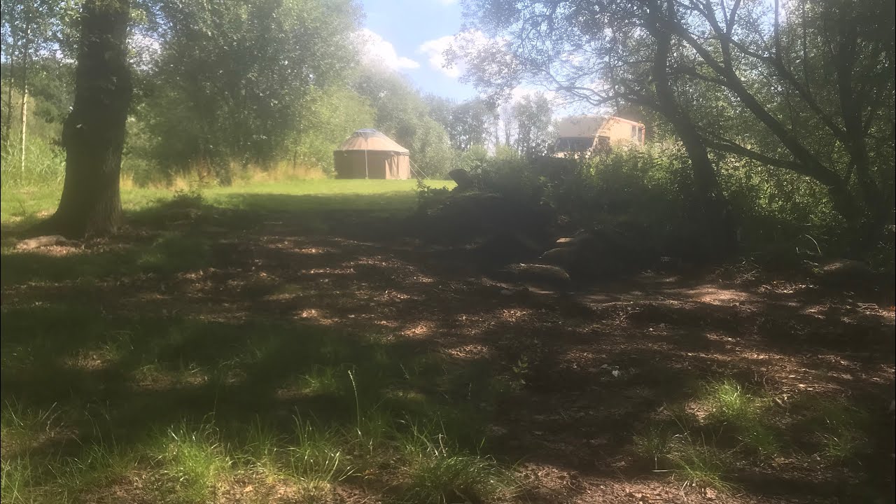 Volunteering at Willow Garth Fisheries .. and Mischief the Savannah cat ...