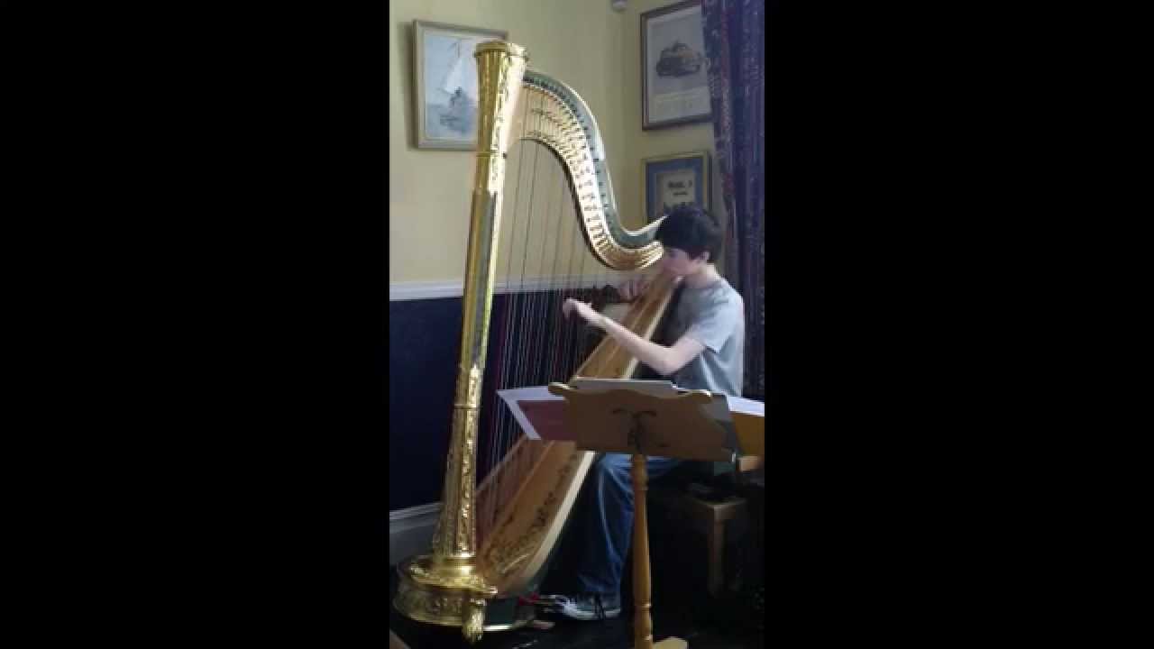 Night Wind by Gary Schocker performed by Ben Creighton Griffiths (harp ...