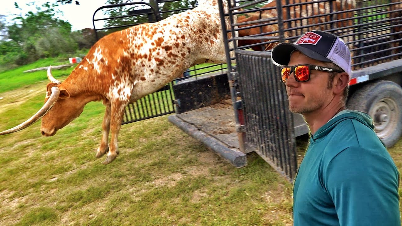 Demolition Ranch is FINALLY a Real Ranch... - YouTube