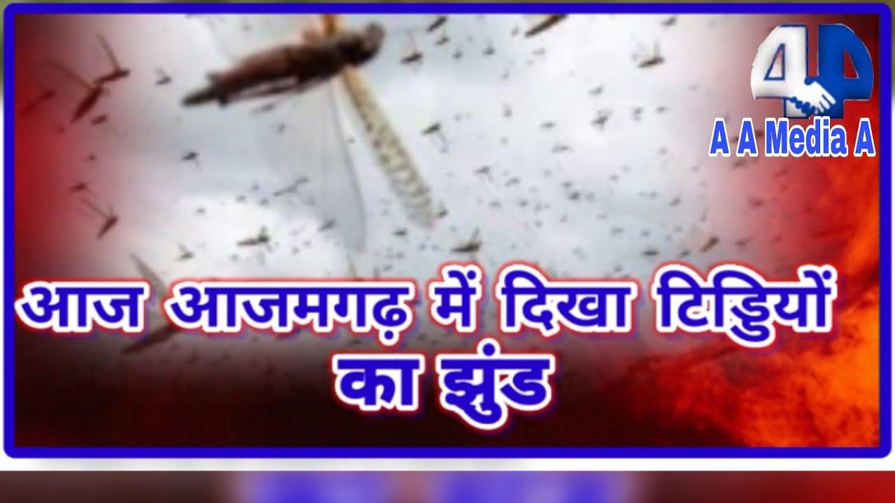 # आज आजमगढ़ में दिखा टिड्डियों का झुंड #Azamgarh Mahul - YouTube