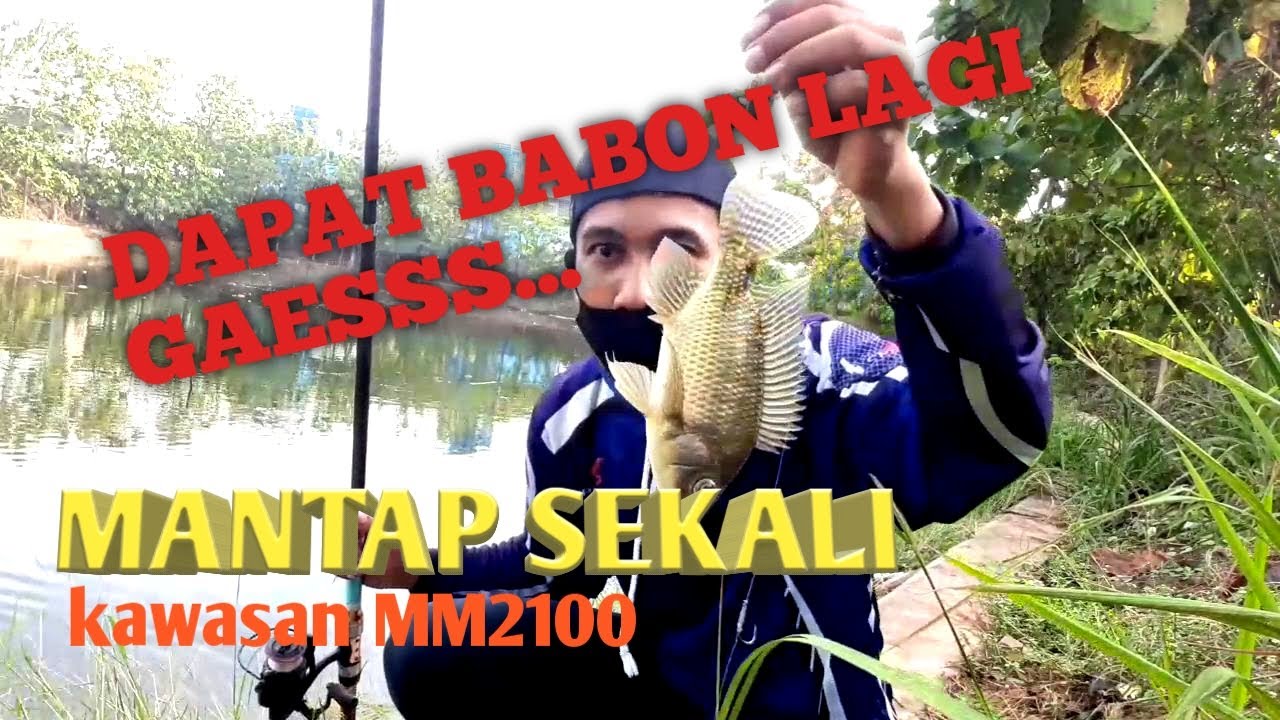 mancing garong mujair nila kawasan MM2100 - YouTube