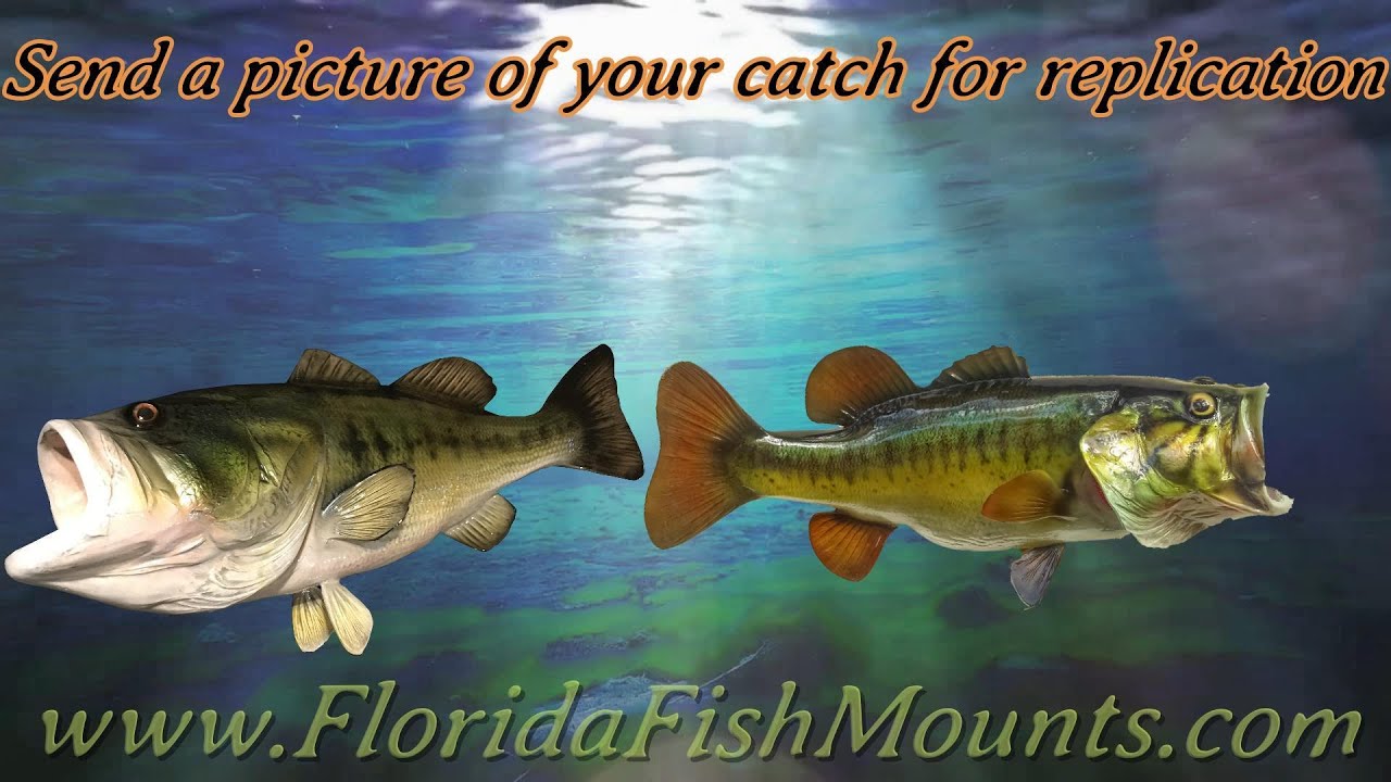 Largemouth Bass Fish Mount Replicas - Custom Fiberglass Fish Replicas ...