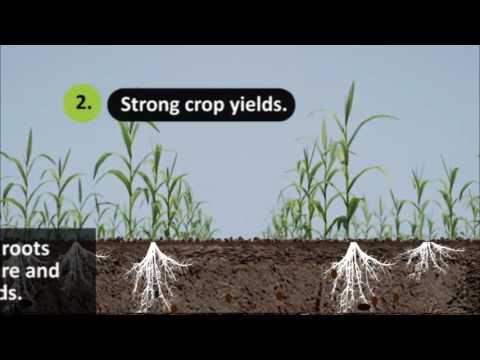 Why a Chisel plough is our first choice tool for primary tilleage - YouTube