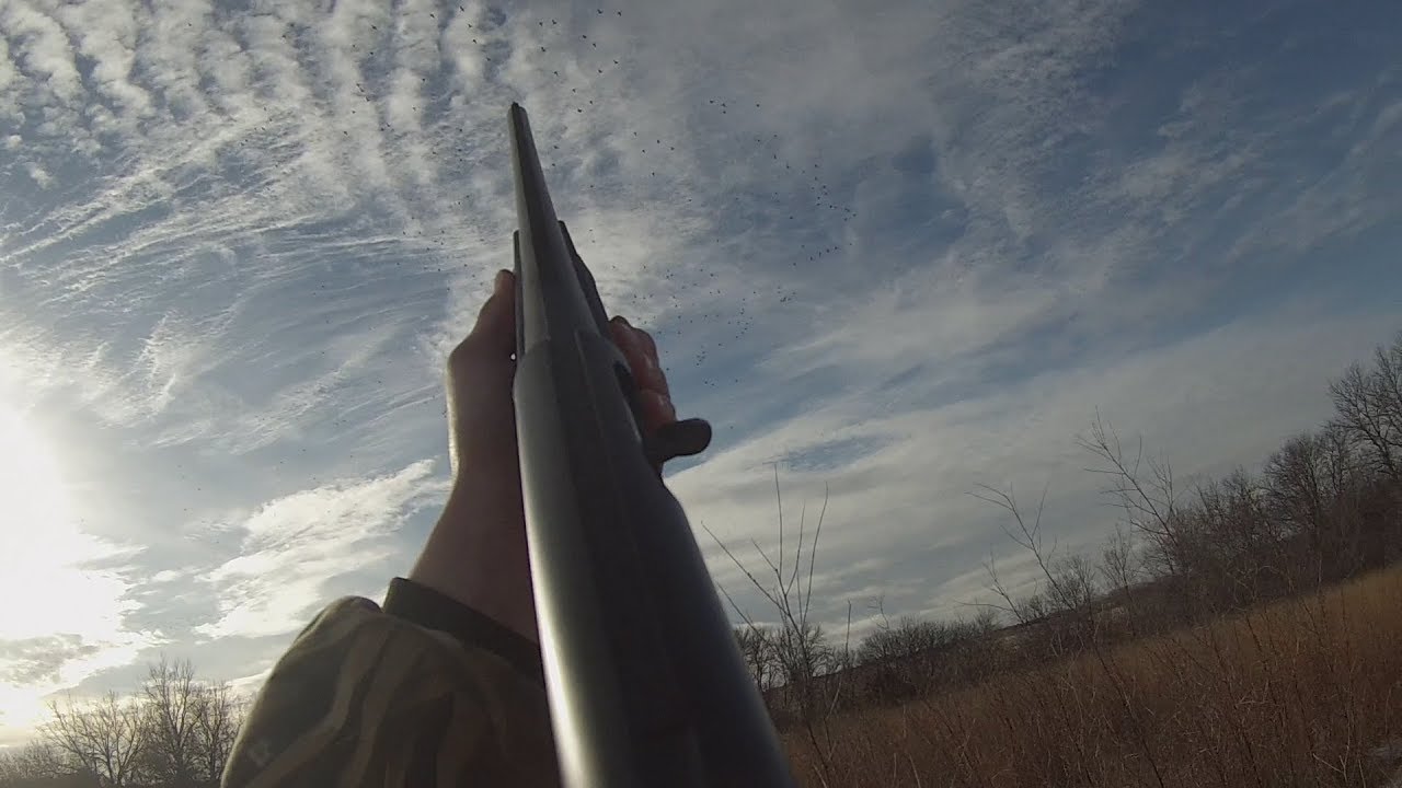 The MOST DUCKS I have ever seen while HUNTING GoPro - YouTube