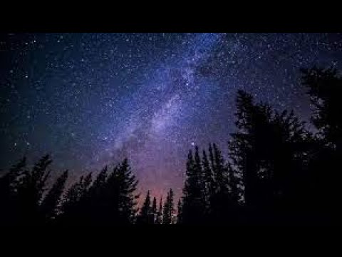 Lucy in the sky with diamonds - Elton John - Lyrics