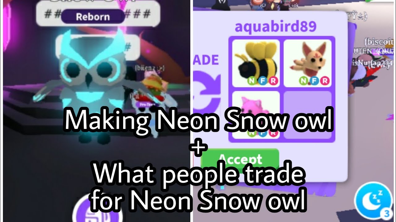 Making Neon Snow Owl And What People Trade for It | Roblox Adopt Me ...