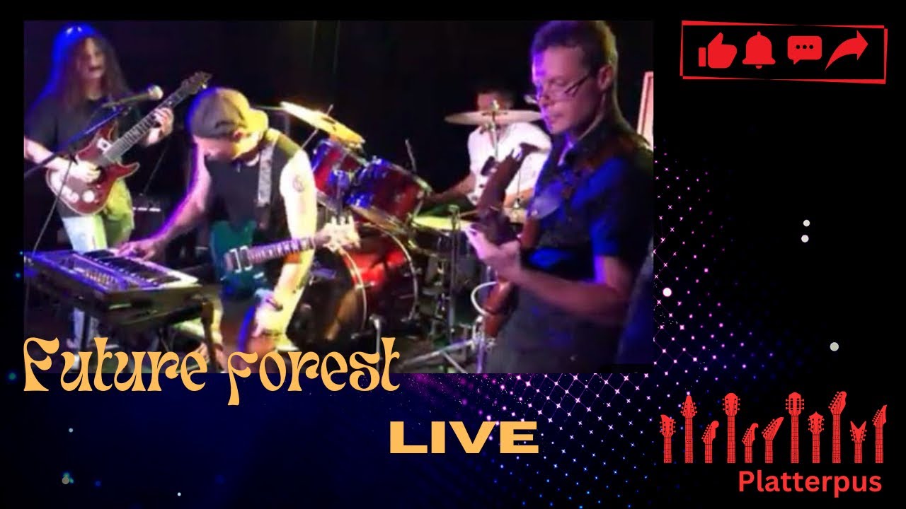 Future Forest 🇦🇺- Lost Inside Your World (Live in Adelaide January 2024 ...