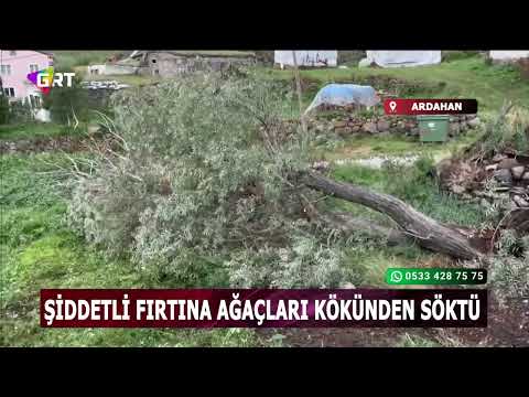 Ardahan’da şiddetli fırtına ağaçları kökünden söktü