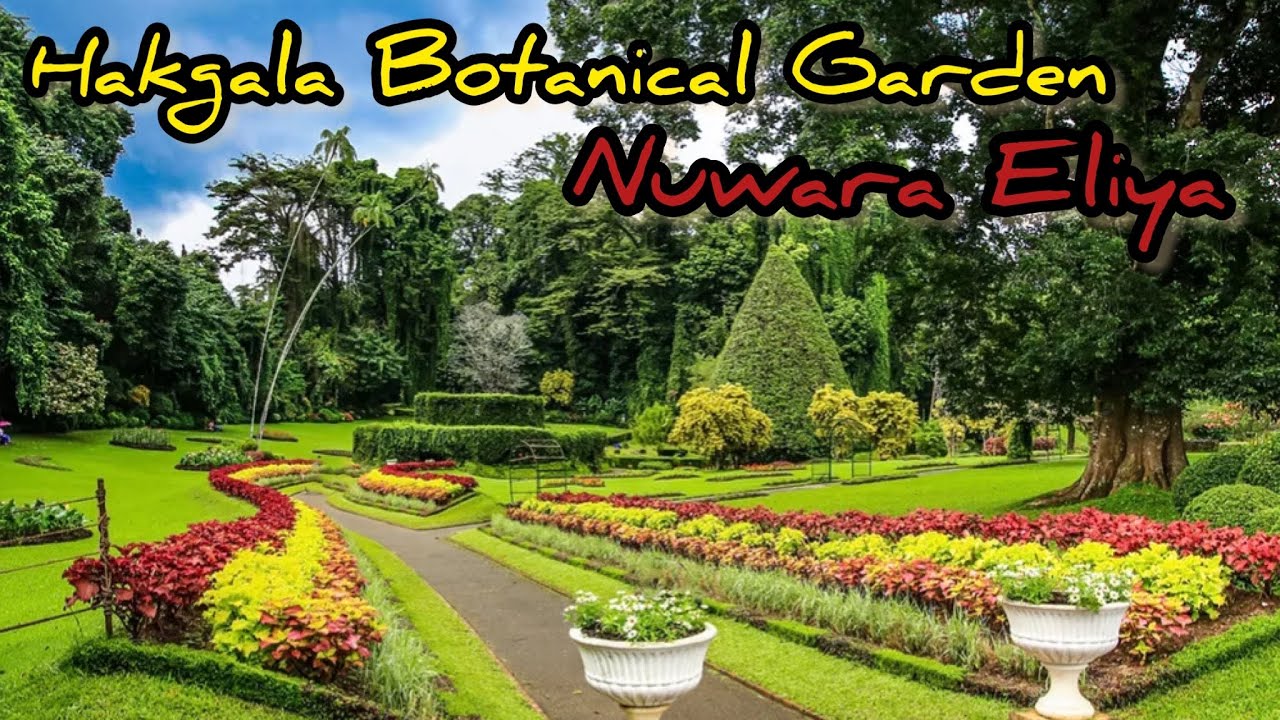 Hakgala Botanical Garden