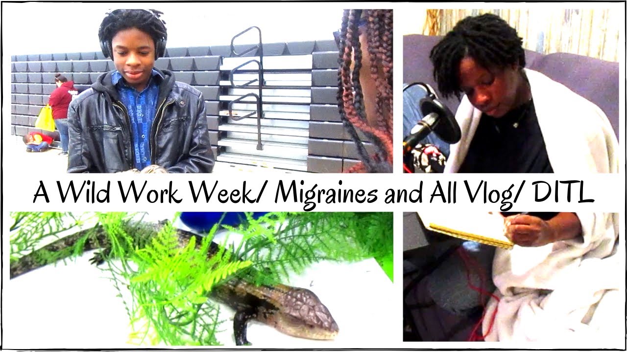 A Wild Work Week/ Migraines and All Vlog - YouTube
