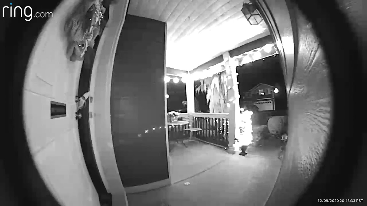 Elf of the shelf caught on Ring doorbell cam! - YouTube