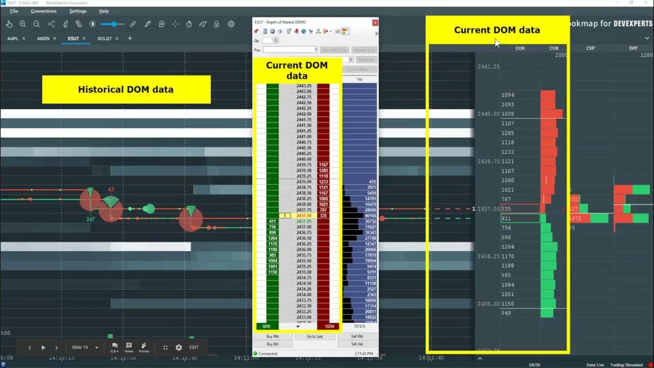 Bookmap Education Course Part 1 Trading with the Order Flow DOM Market ...