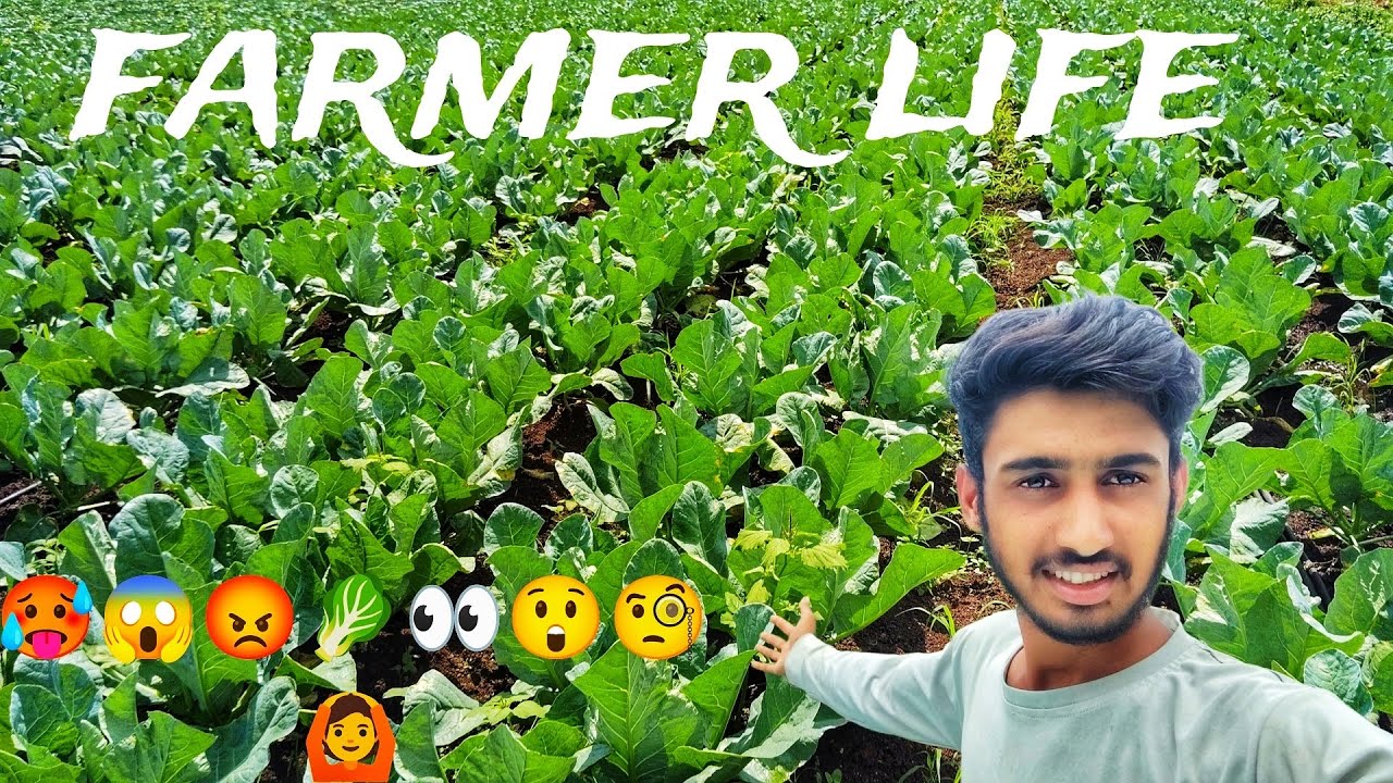 India farmer life style farmer life style farmer shetkari - YouTube