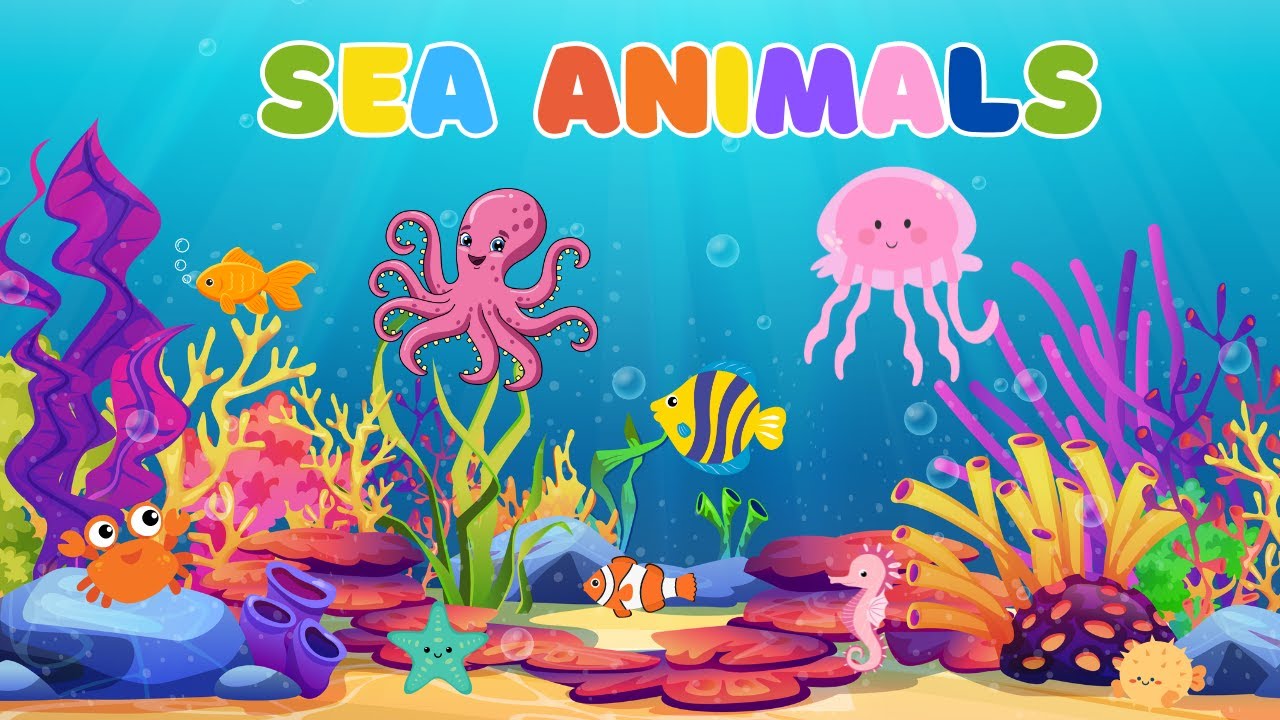 Sea Animals For Toddlers| Toddler Learning Video| Kindergarten Learning ...