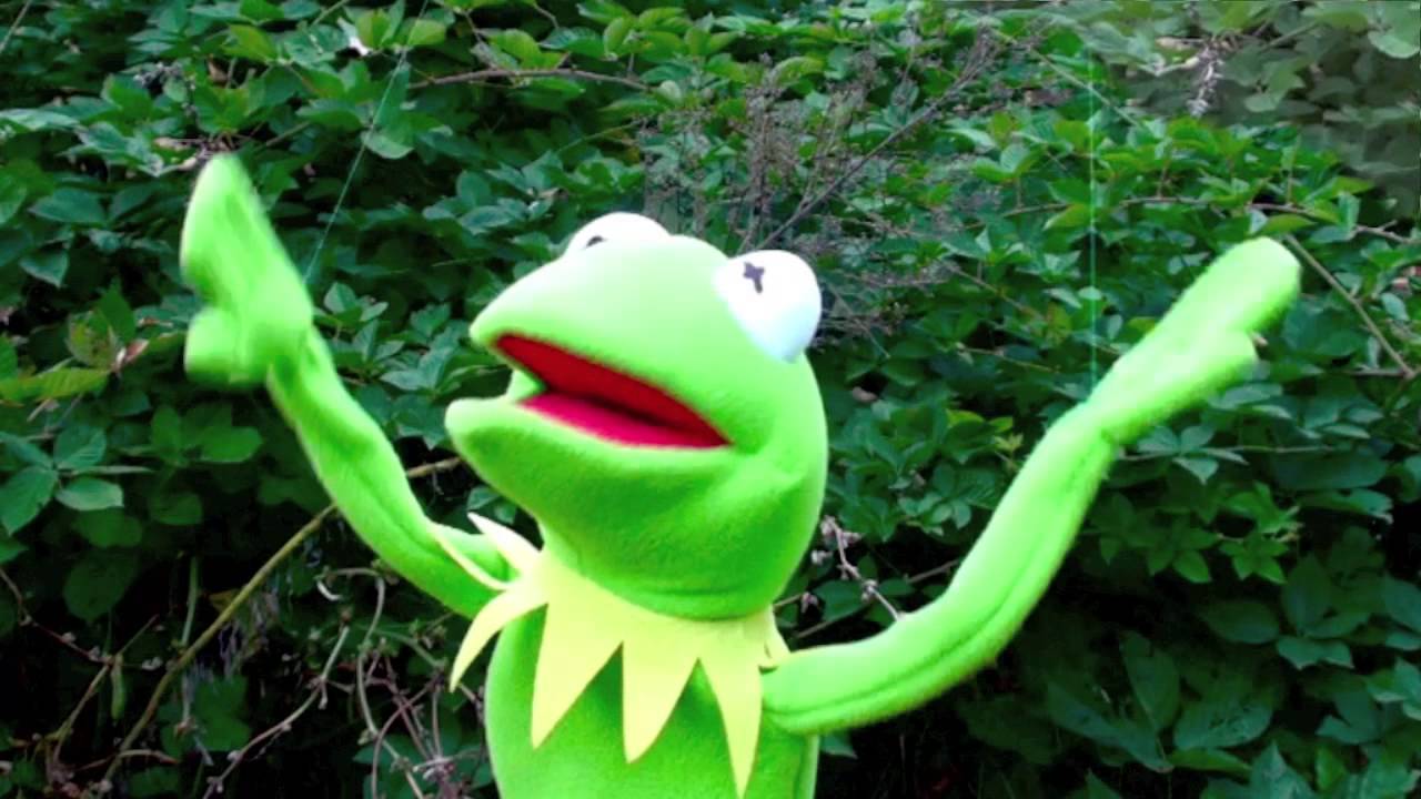 Kermit the Frog Rain Dance! Muppets Gone Wild Sesame Street Funny Toy ...