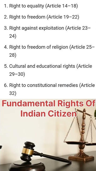 Fundamental Rights Of Indian Citizen. #shorts #malayalam #facts #education #interestingfacts ...