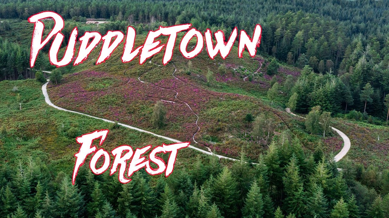 PUDDLETOWN FOREST DOWNHILL 2021 - YouTube