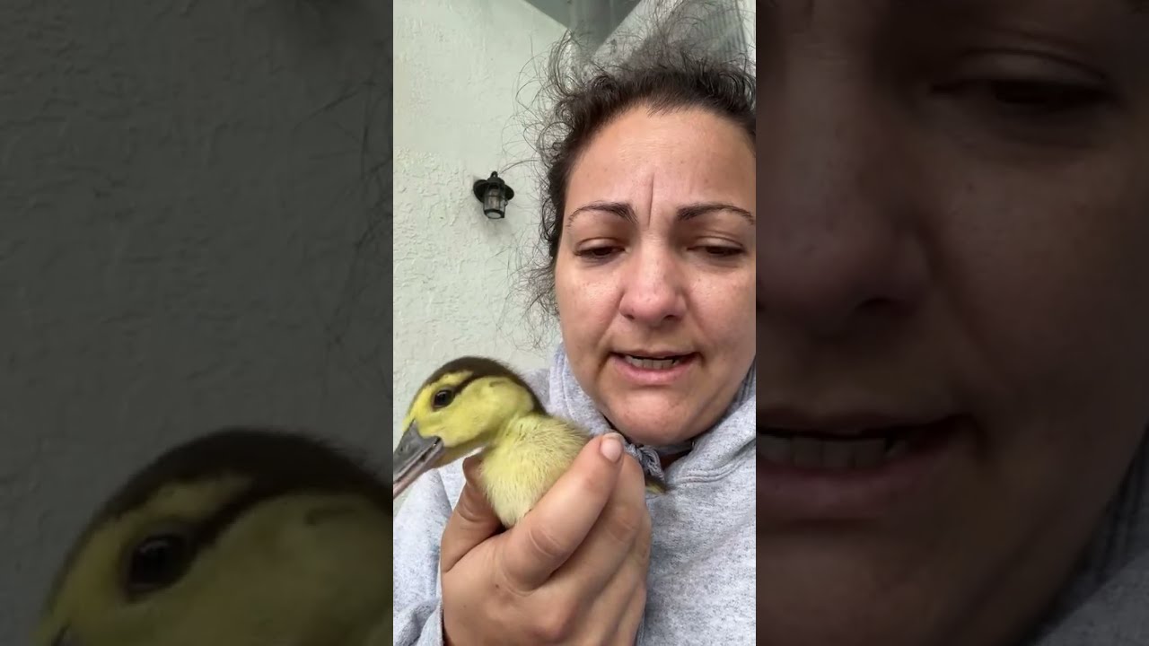 Name CONTEST! - YouTube