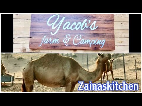 Yacob's Farm & Camping/Ajman,UAE/Absolutely free visit / Places to ...