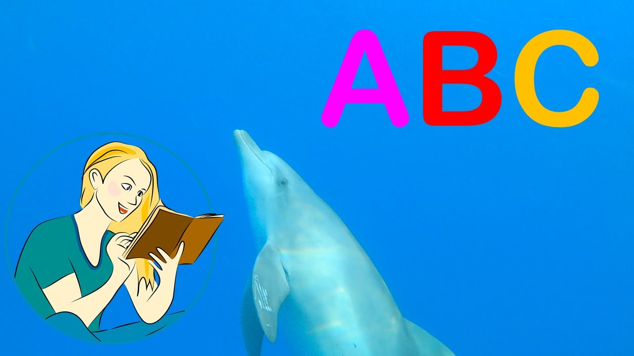 ABC med dyr | Lær at tale - YouTube