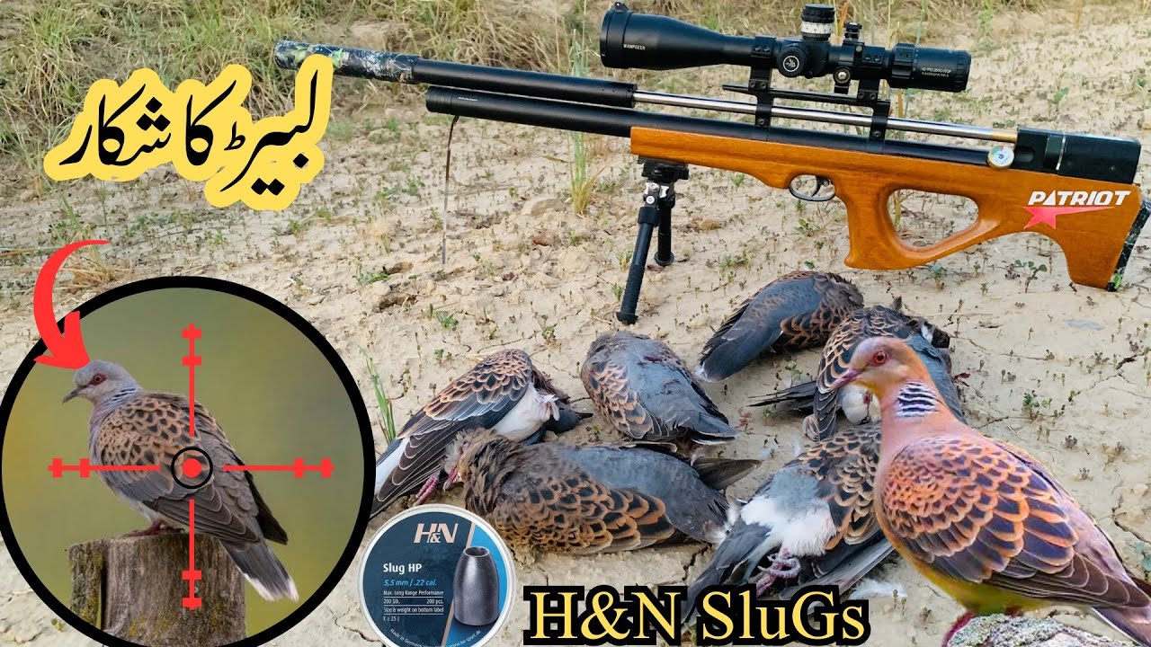Airgun P15 Hunting Power | Zero Stop 6-24*50 Scope | Russian Doves ...