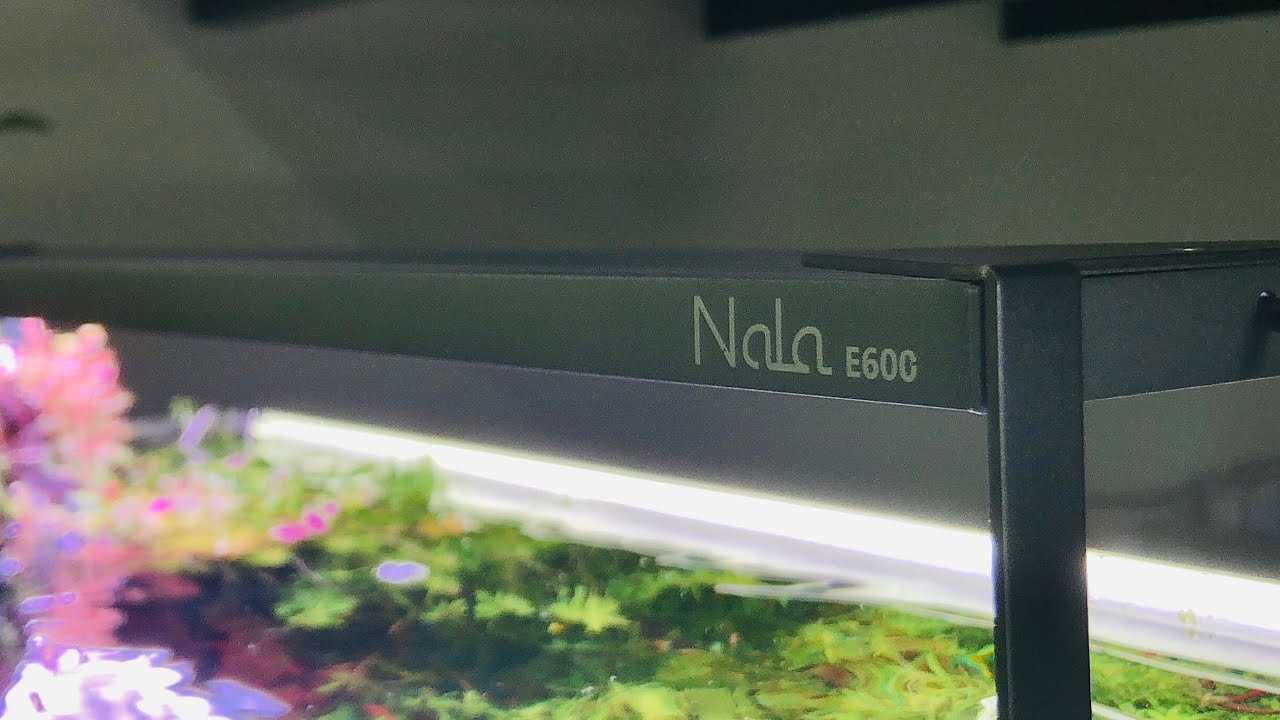 NALA RGB E600 [REVIEW PENUH] - YouTube