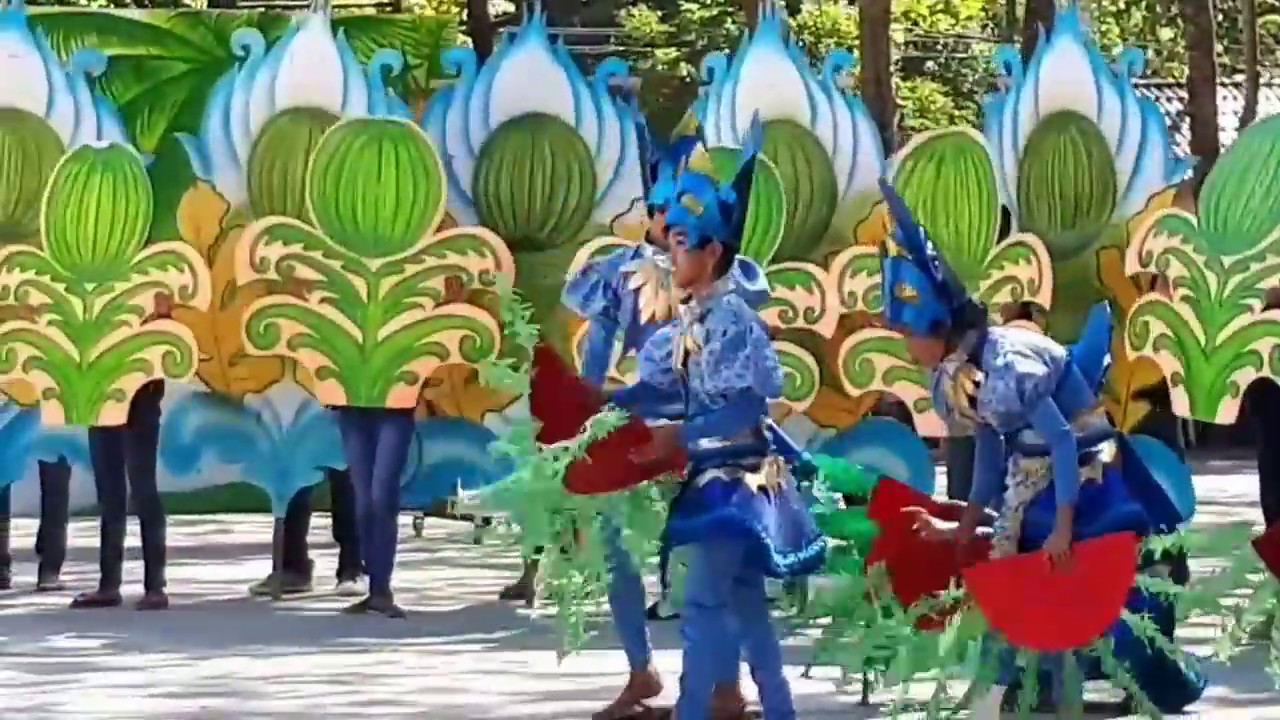 Pakwan (watermelon) Festival - Bani, Pangasinan - YouTube