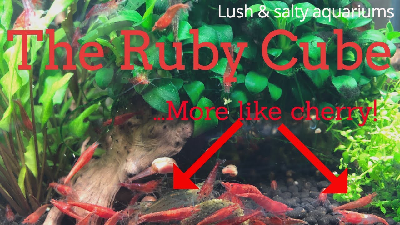 The Ruby Cube! - YouTube