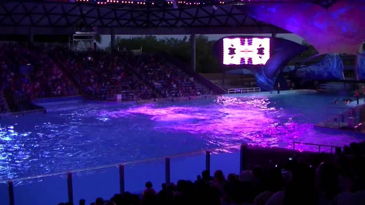 Sea World San Antonio Shamu Rocks 2011 - YouTube