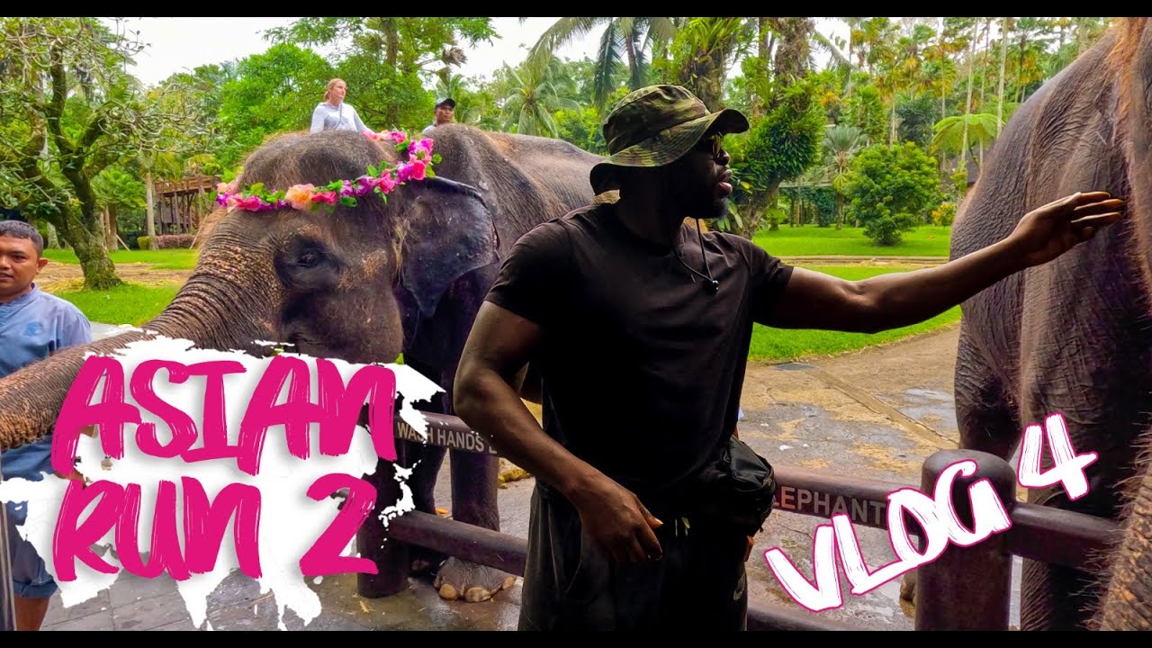 NE JAMAIS FAIRE DU BUGGY A BALI !!! ELEPHANT PARC - ASIAN RUN 2 - VLOG ...