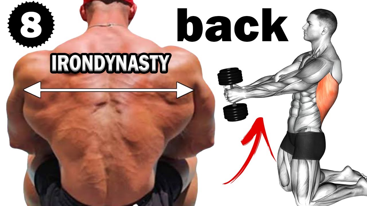 8 Best exercises to build back fast - YouTube