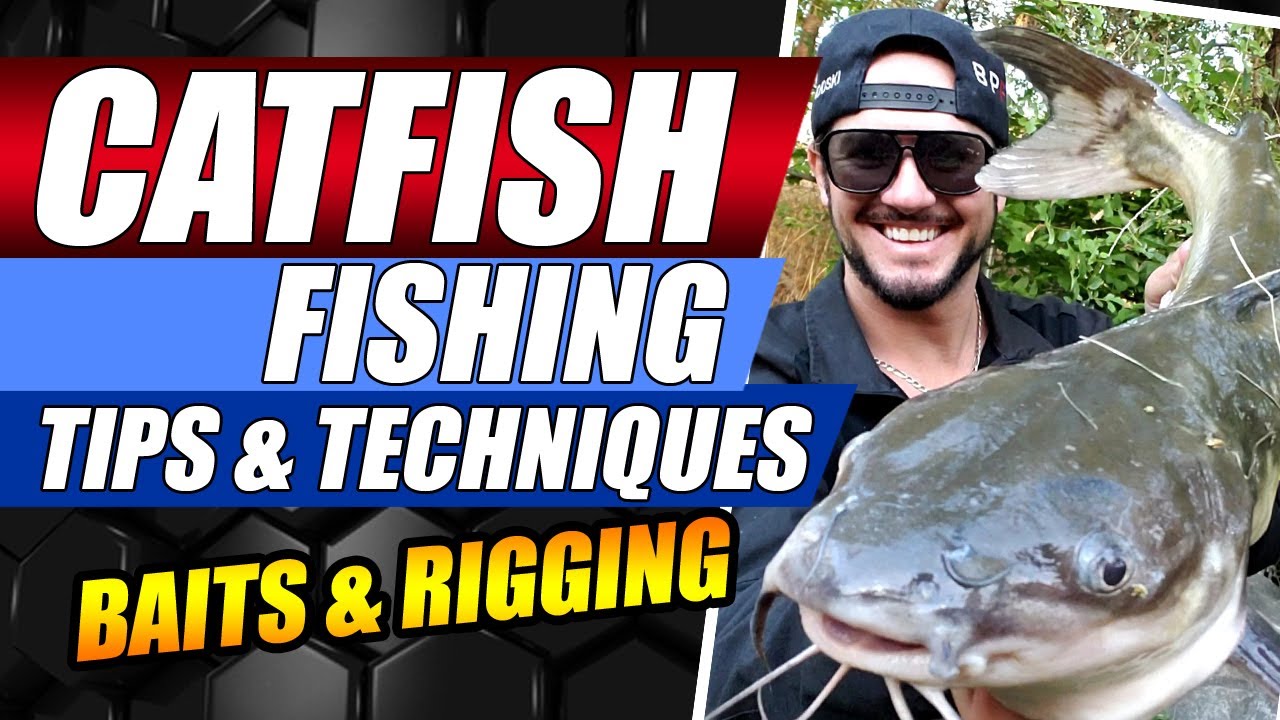Catfish Fishing Tips And Techniques - Catfish Fishing Bait - Catfish ...