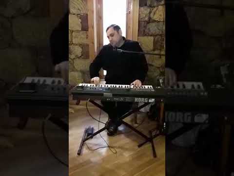 Elsever lacinli Niyameddin genceli super ifa