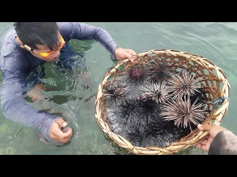 Ep. 91 Pangunguha nang \