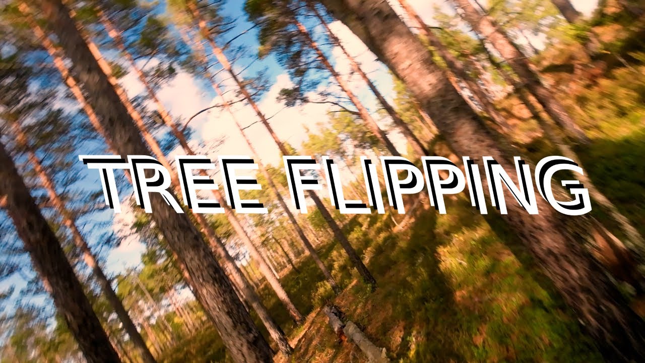 Tree Flipping Freestyle - FPV Freestyle - YouTube