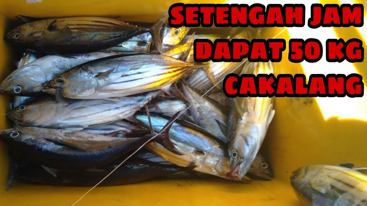 Mancing ikan dilaut Natuna part #15‼️Begini cara nelayan Natuna mancing ...