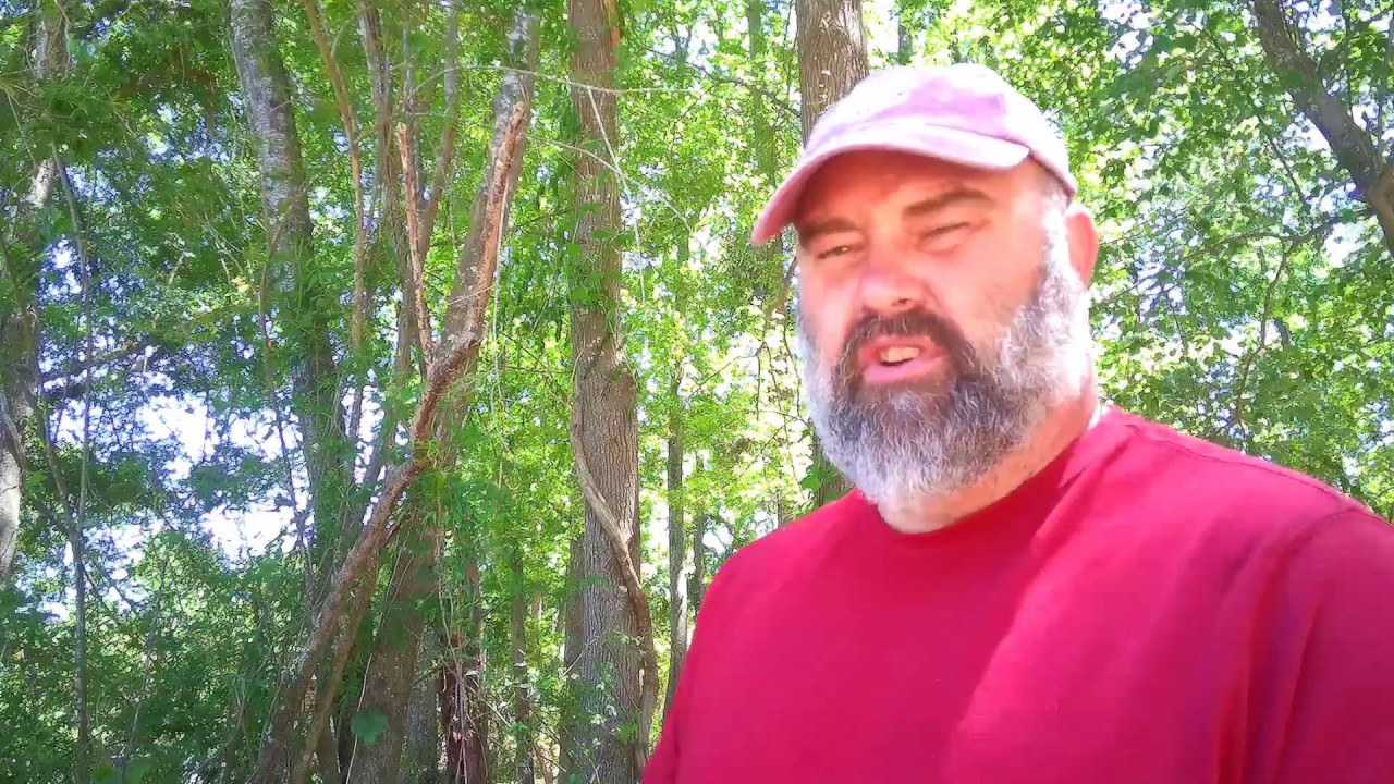 County Line bush hog review - YouTube