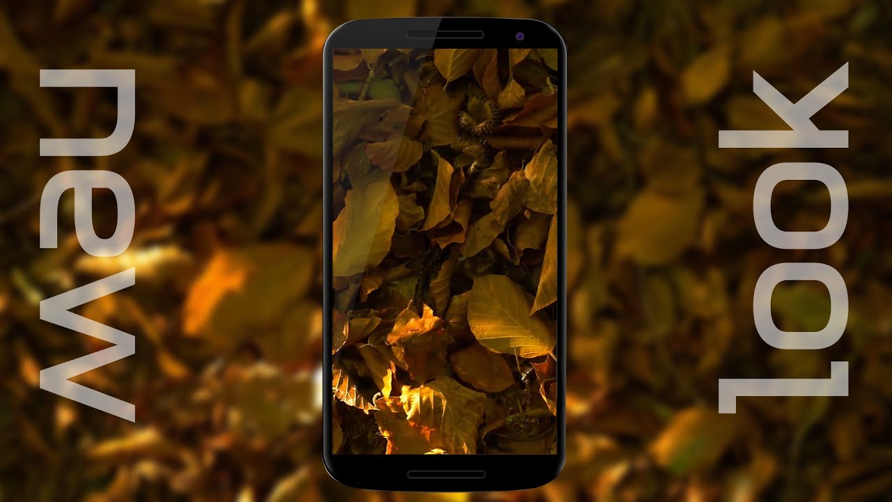 free autumn video wallpapers - YouTube