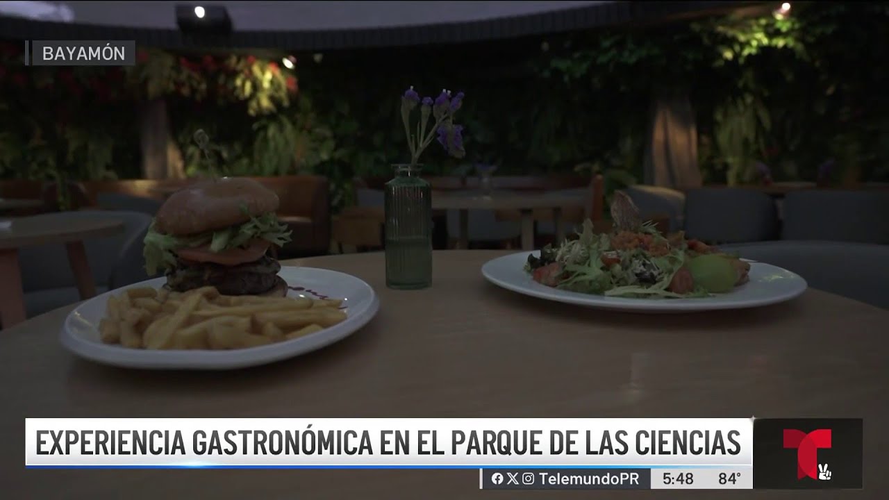 ¡Es fascinante! Restaurante temático de El Yunque en Bayamón - YouTube