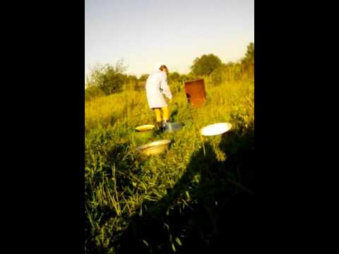 Ханна мама я влюбилась