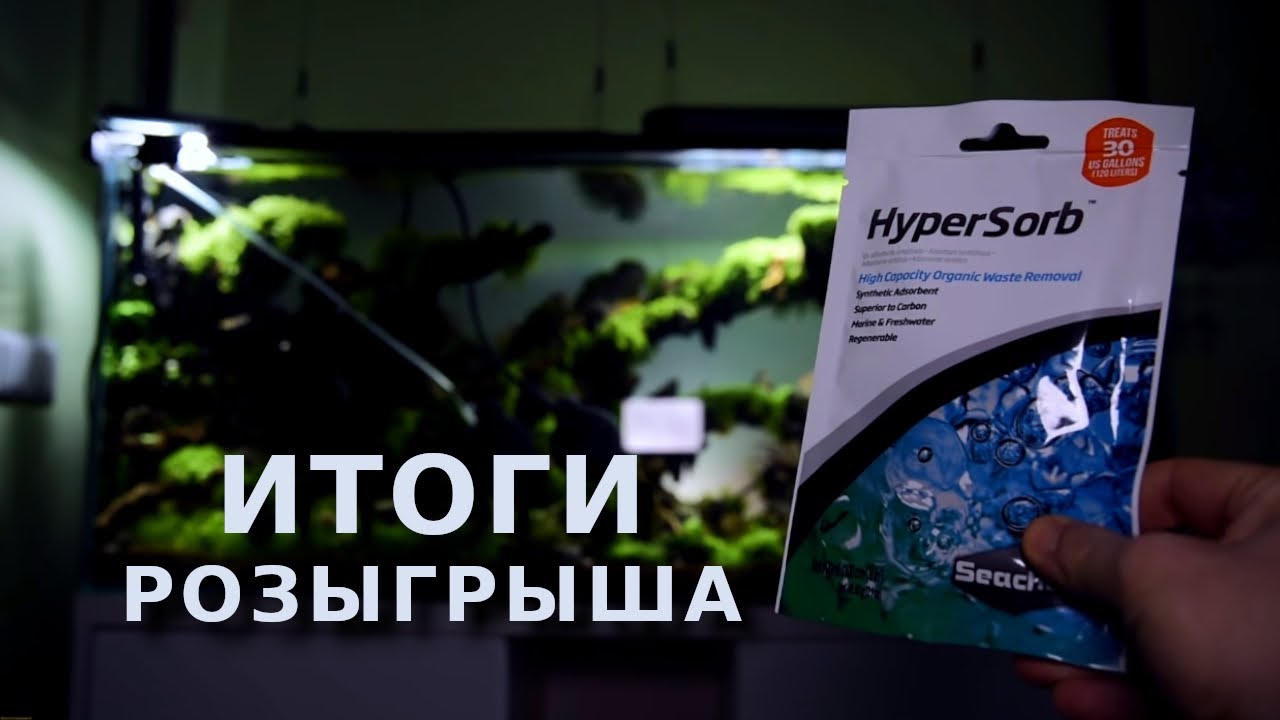 Итоги розыгрыша Seachem HyperSorb - YouTube