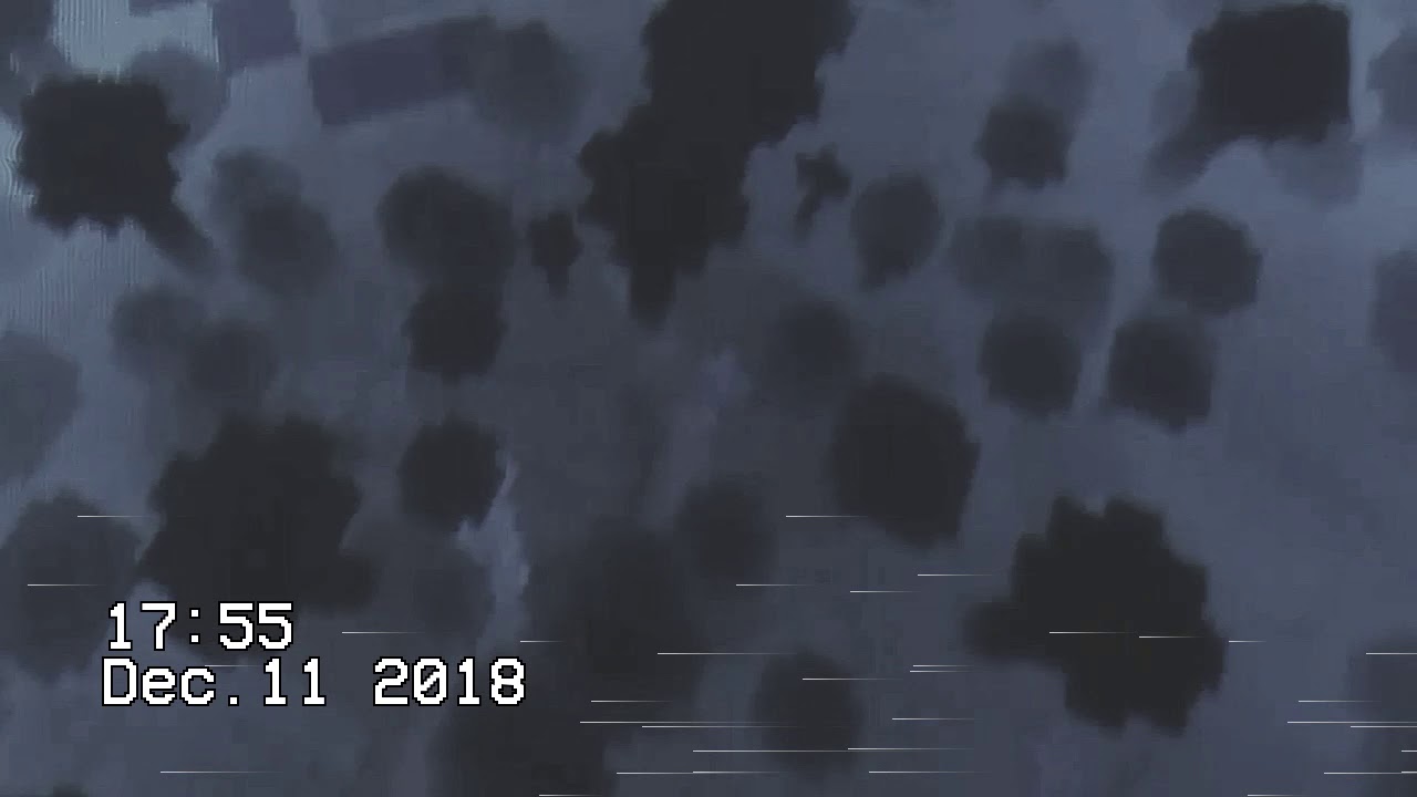 yrarniB. - yraniB sighting PART 1 - YouTube