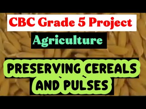 How to preserve cereals and pulses Grade 5 Agriculture Project 2025 ...