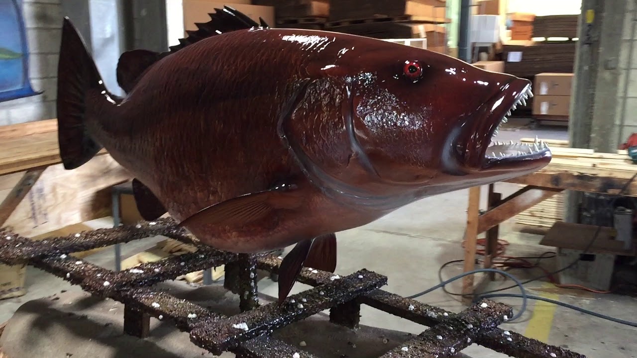 Cubera Snapper mounted on shipwreck base - YouTube