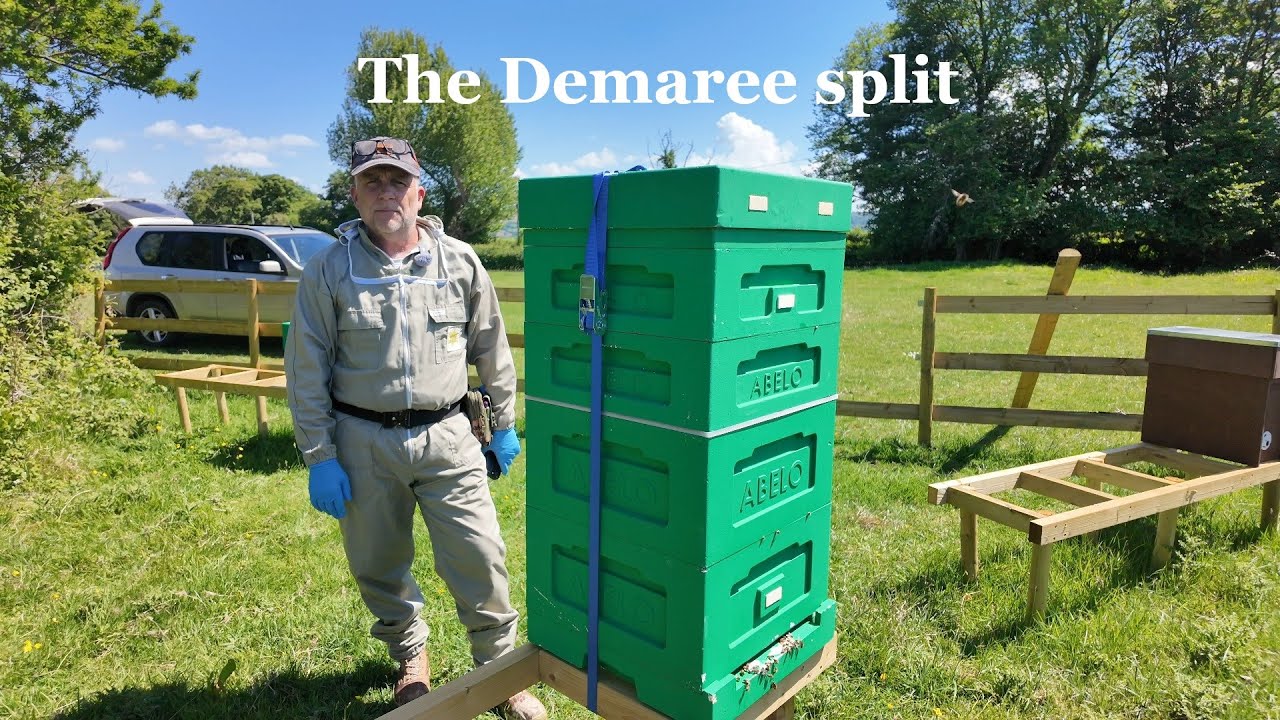 The Demaree split - YouTube