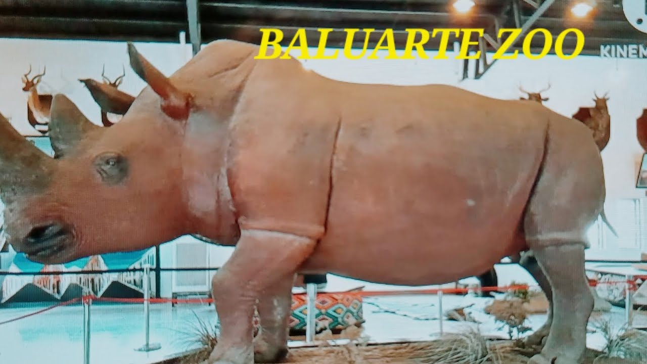 TRIP TO BALUARTE ZOO ILOCOS SUR PHIL. - YouTube