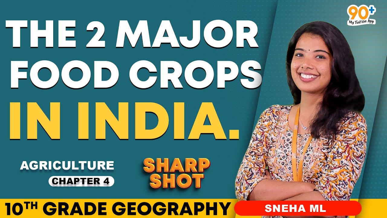 The 2 major food crops in India | AGRICULTURE | 10TH GRADE |GEOGRAPHY ...