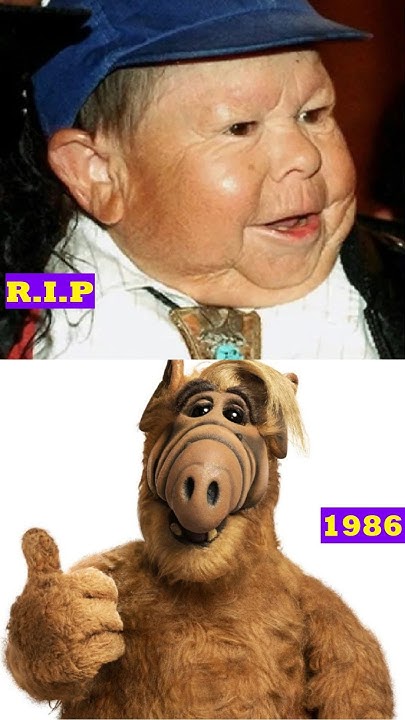 ALF 1986 Cast Then and Now - YouTube