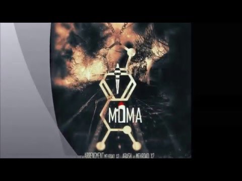Mehrdad x2 - MDMA 2013