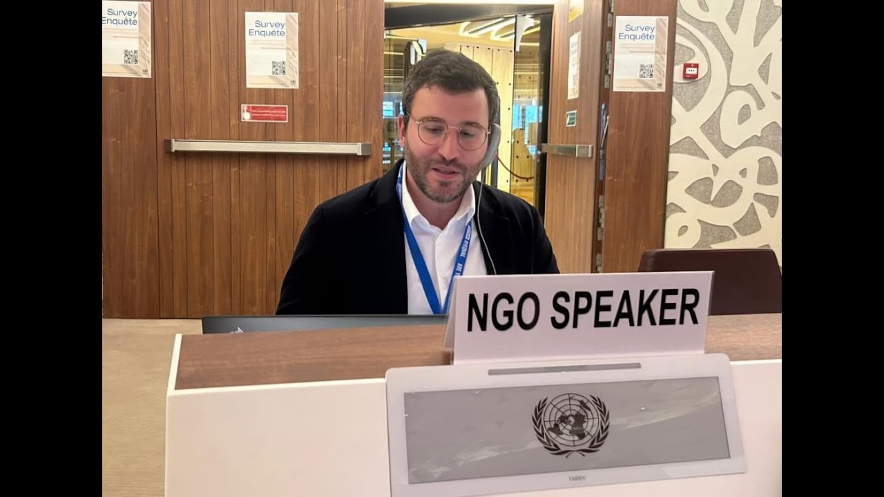 NGO Statement on International Protection delivered by Plan ...